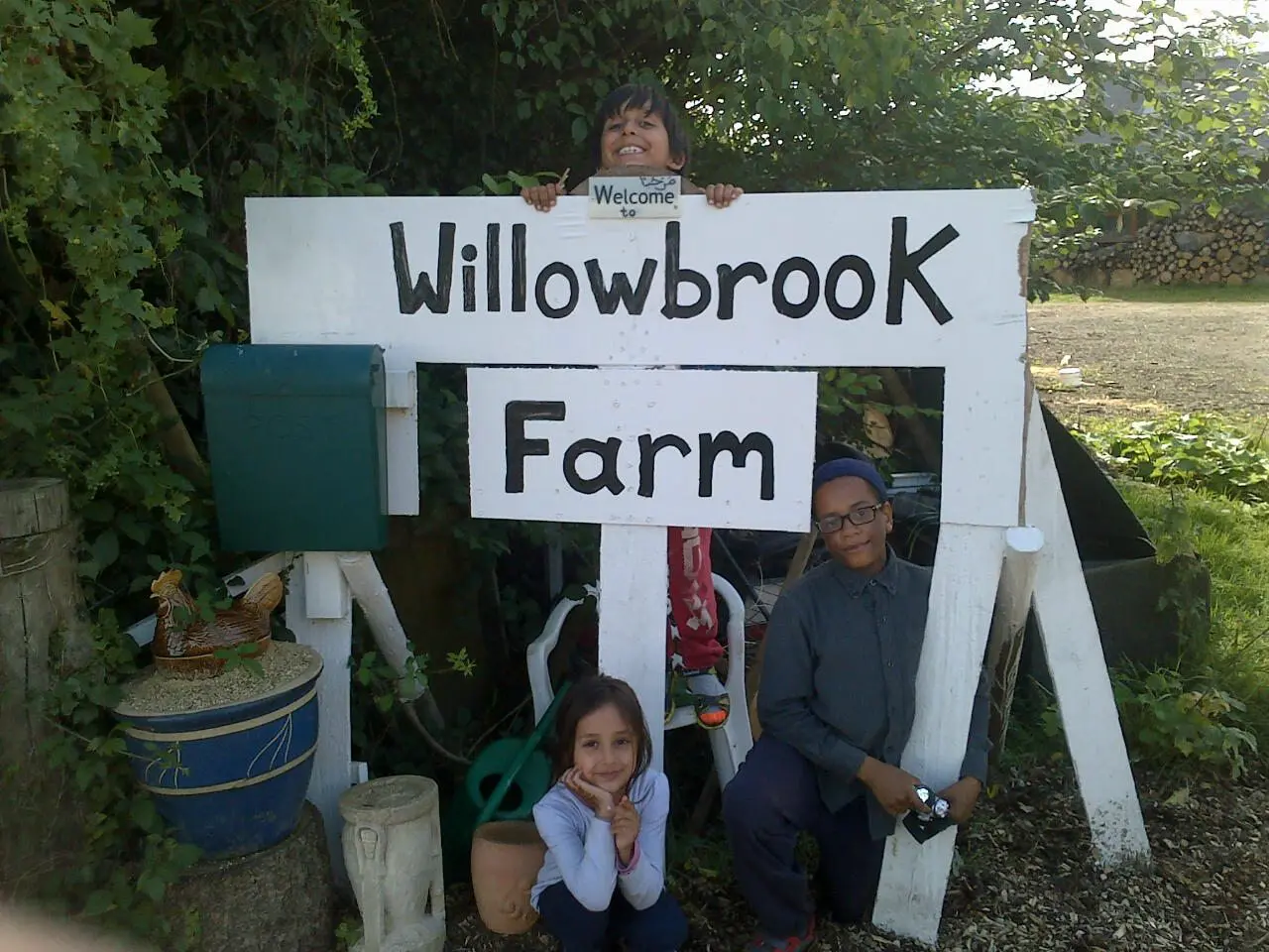 Willowbrook Farm: Halal, Healthy, Organic and Fun for All the Family ...